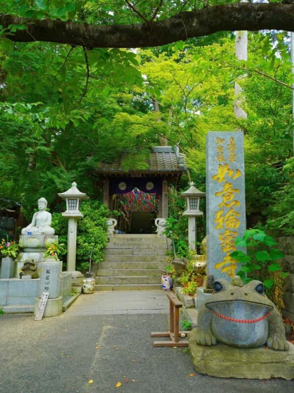 Fukuoka: Nyoirinji Temple, Beppu Hells Tickets Incl & Yufuin - Final Thoughts