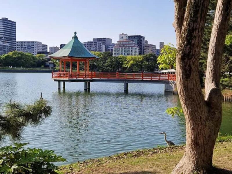 Fukuoka: Ohori Park and Amaguri Onsen Spa Day Tour - Key Points