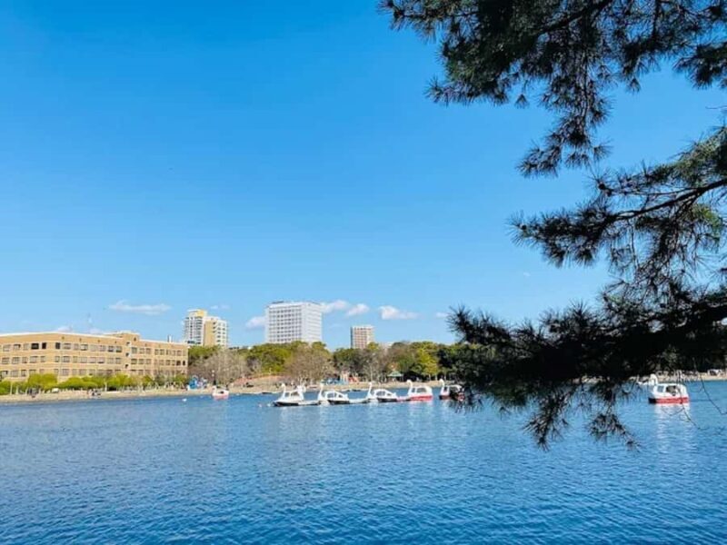 Fukuoka: Ohori Park and Amaguri Onsen Spa Day Tour - The Sum Up