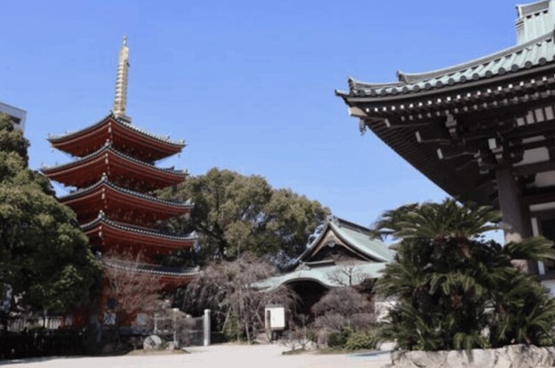 Fukuoka Private Custom Tour with Local Guide - Ohori Park and Fukuoka Castle Ruins: Serenity and History