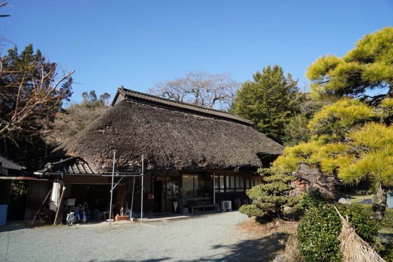 Fukuoka: Private Farm Experience with Lunch - A Detailed Look at the Farm Experience Near Fukuoka