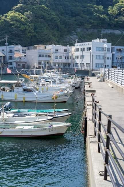 Fukuoka: Private Fishing Tour with Captain and Gear - An In-Depth Look at What to Expect