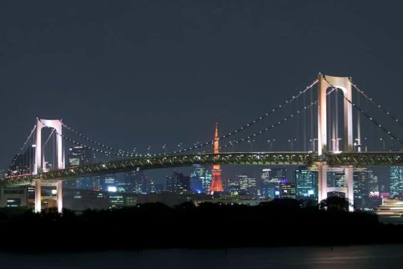 Fukuoka: Private Night Tour with River Cruise and Food - Who Would Love This Tour?