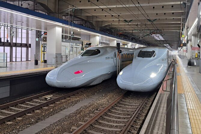Fukuoka: Round-Trip Shinkansen Tour to Kumamoto Castle - Exploring the Itinerary: What You Can Expect