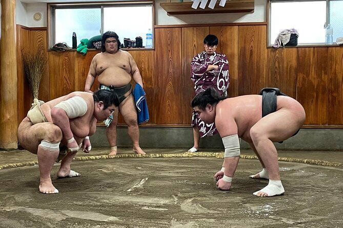 Fukuoka Sumo Morning Practice Watching Tour - Discovering the Fukuoka Sumo Morning Practice Watching Tour