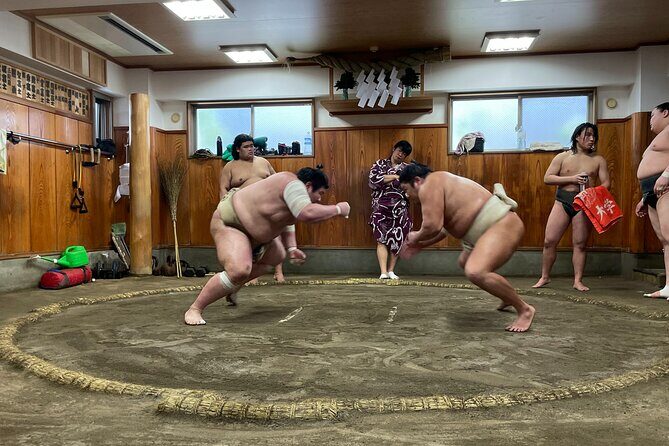 Fukuoka Sumo Morning Practice Watching Tour - An In-Depth Look at the Tour