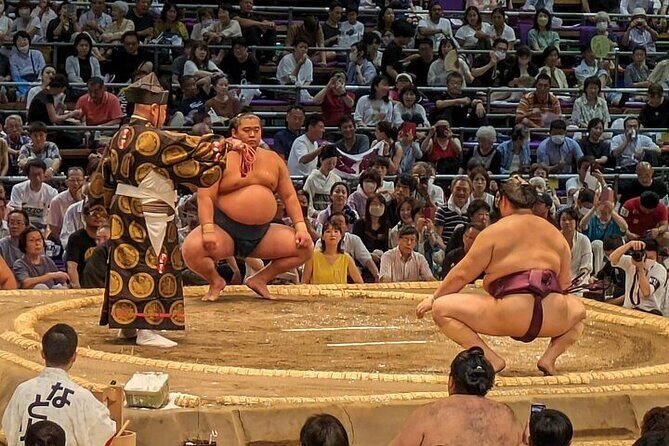 Fukuoka Sumo Tournament November 2025 with a Sumo Expert Guide - Who Will Love This Tour?