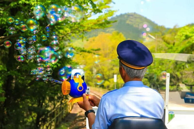 Fukuoka: Takachiho Gorge, Amano Iwato & Scenic Train Tour - Key Points