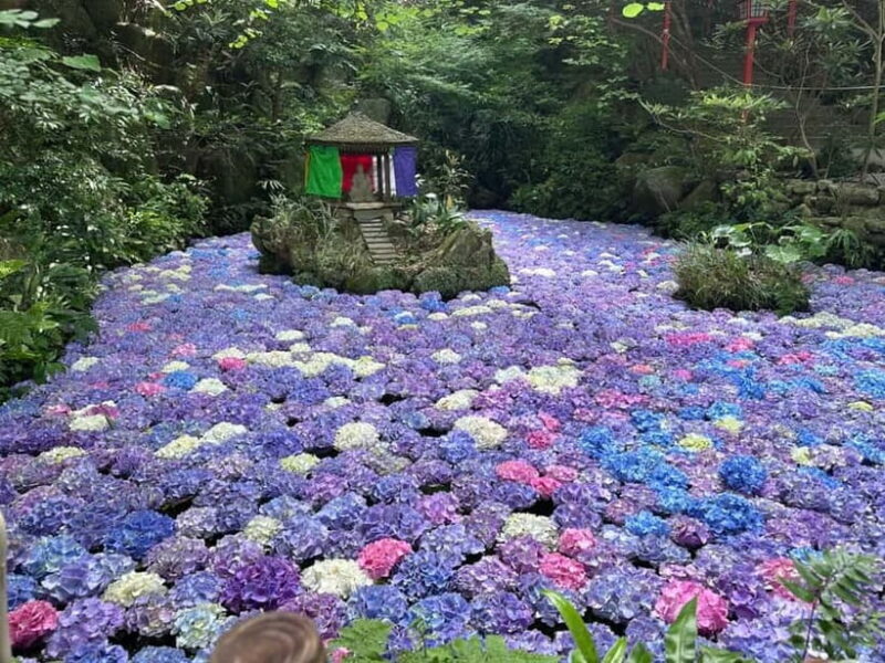 Fukuoka: Takachiho Gorge, Optional Boat Ride & Vintage Train - Concluding Thoughts: Is This Tour Right for You?