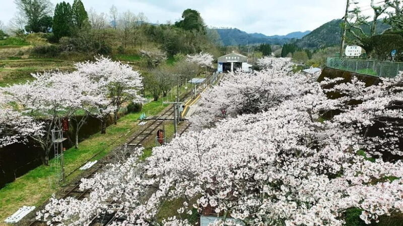 Fukuoka: Takachiho Gorge & Scenic Railway One Day Tour - Practicalities & Tips for the Tour