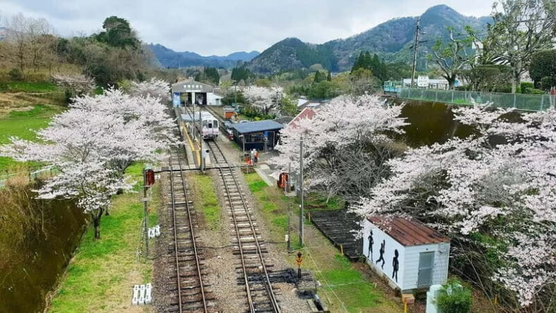 Fukuoka: Takachiho Gorge & Scenic Railway One Day Tour - FAQ