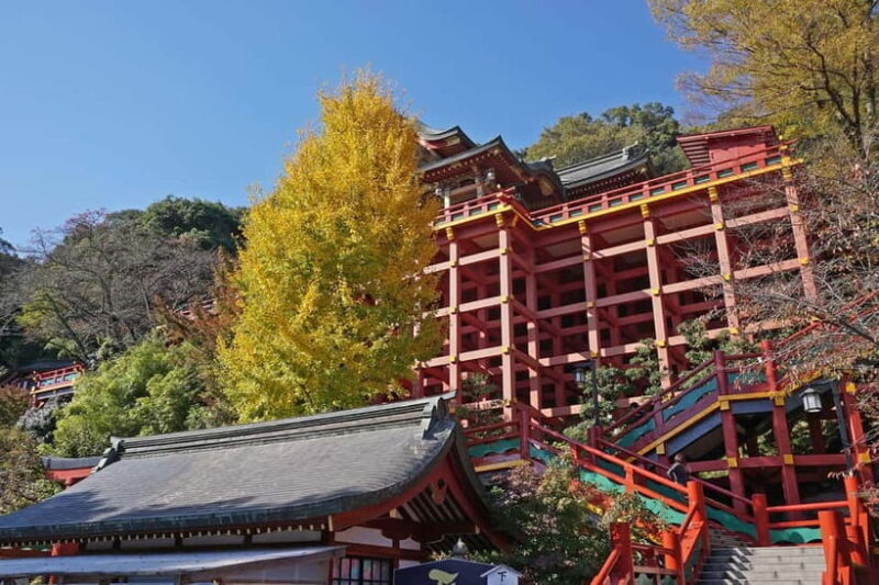 Fukuoka: Ytoku Inari Shrine & Ureshino Guided Tour - What Travelers Are Saying