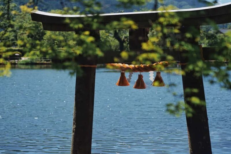 Fukuoka:Frog Temple, Beppu Hell Springs Tickets Incl &Yufuin - The Itinerary in Detail: What You’ll Experience