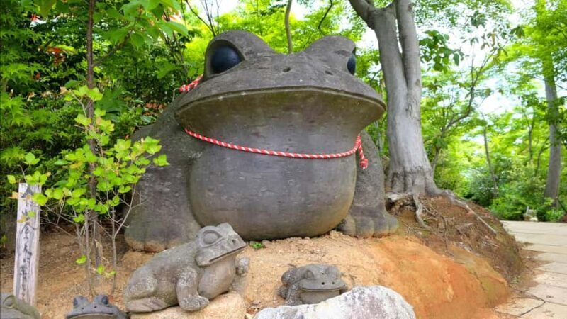 Fukuoka:Frog Temple, Beppu Hell Springs Tickets Incl &Yufuin - Who Will Enjoy This Tour?