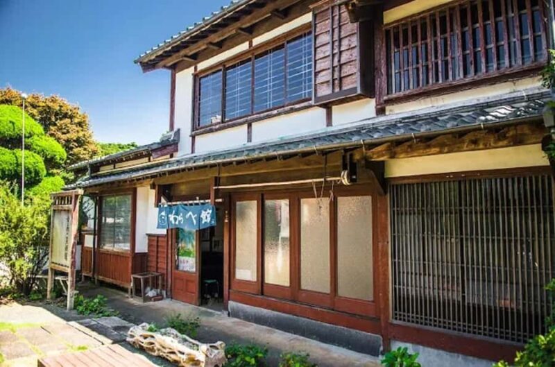 Fukuoka:Nokonoshima Island Day Trip with Tour Guide& Driver - Who Will Love This Tour?