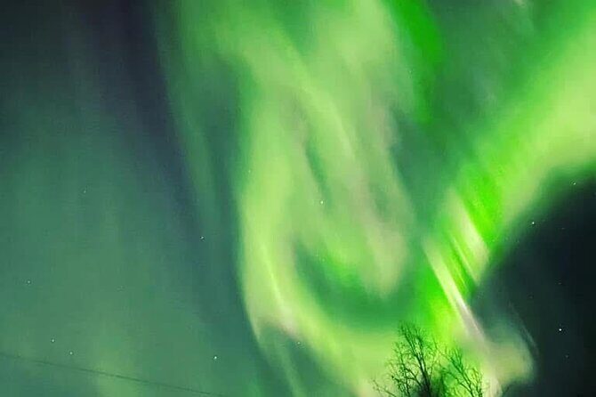 Full Alaskan Experience - What to Expect from the Tour Experience