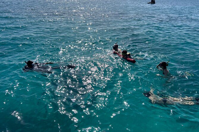 Full Charter All Inclusive for Icacos and Palomino - FAQ