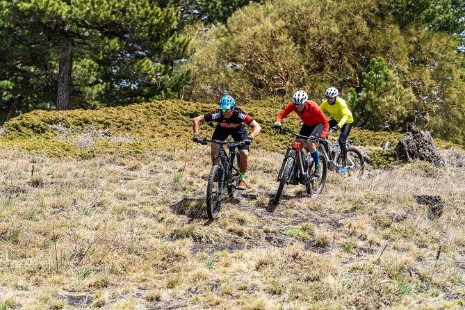 Full circuit of Etna by MTB small group - An In-Depth Look at the Etna MTB Circuit