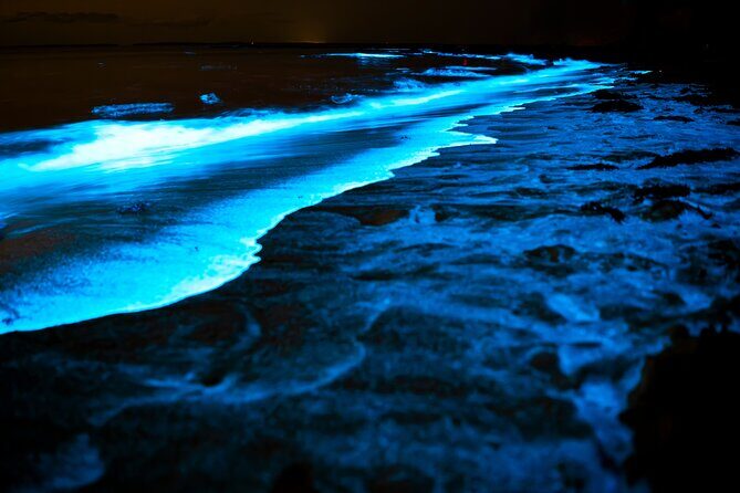 Full Clear Kayak Bioluminescent Experience Vieques, Puerto Rico - Key Points