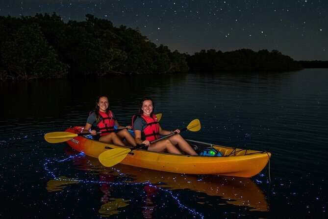 Full Clear Kayak Bioluminescent Experience Vieques, Puerto Rico - The Value of This Experience
