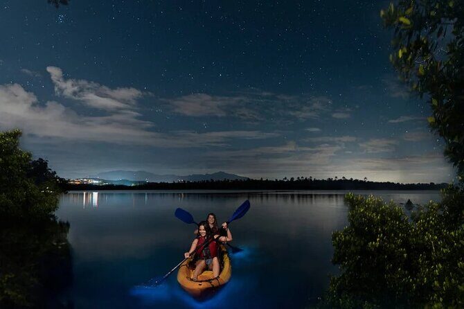 Full Clear Kayak Bioluminescent Experience Vieques, Puerto Rico - Practical Details and Tips