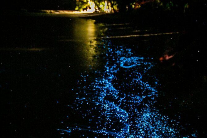 Full Clear Kayak Bioluminescent Experience Vieques, Puerto Rico - Who Should Consider This Tour?