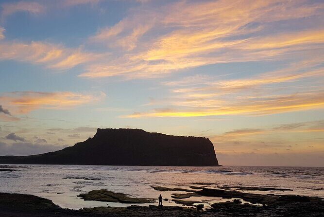 Full Day 12 hours whole Jeju Island private flexible tour - Cost and Value