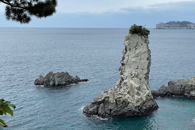 Full Day 12 hours whole Jeju Island private flexible tour - The Sum Up