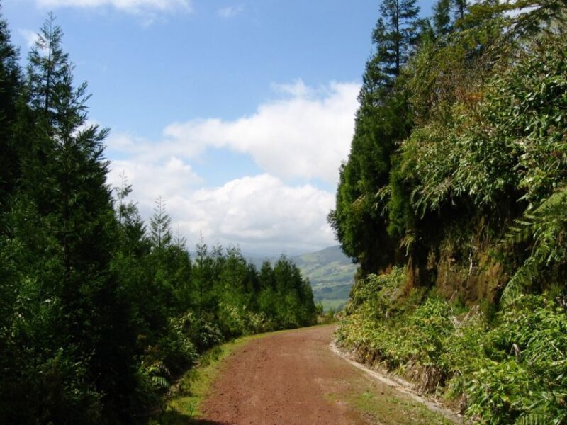 Full-Day 4x4 Nordeste Azores Tour from Ponta Delgada - Itinerary Breakdown and Highlights