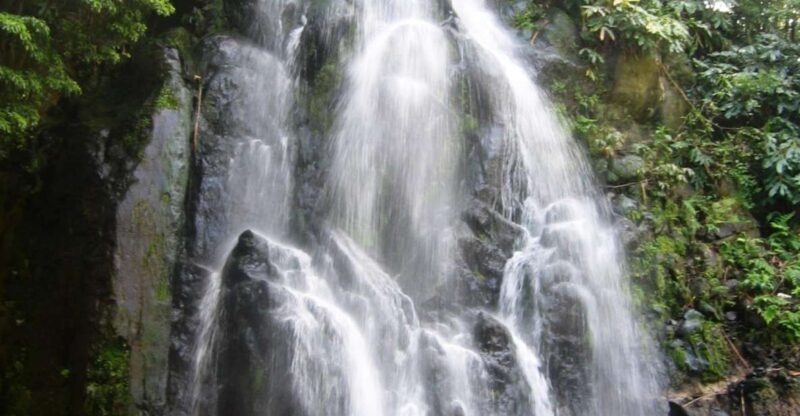 Full-Day 4x4 Nordeste Azores Tour from Ponta Delgada - The Value of This Experience