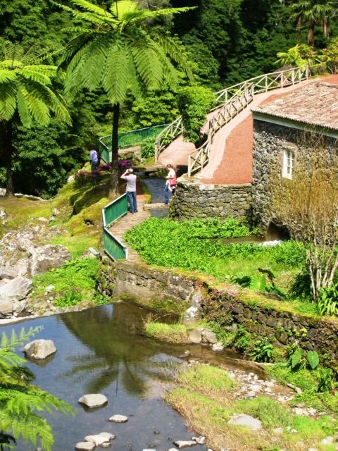 Full-Day 4x4 Nordeste Azores Tour from Ponta Delgada - Whats Included and Whats Not