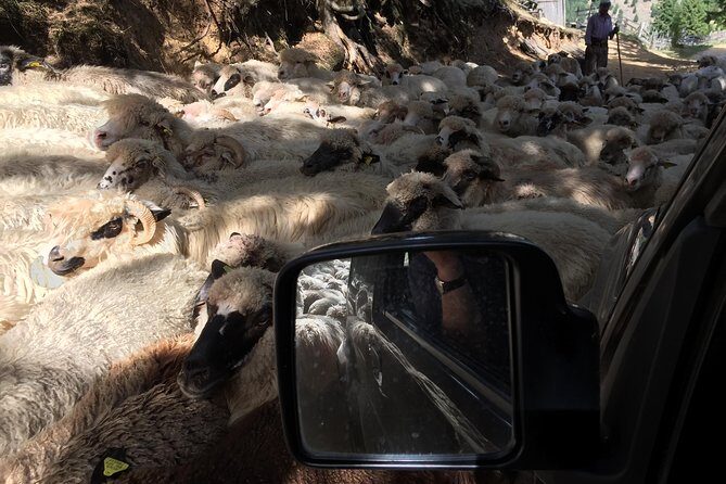Full Day 4x4 Tour in the Eastern Carpathians - Who Should Consider This Tour?