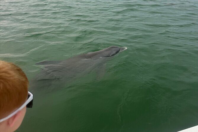 Full Day (6 hours) Sanibel Eco Boat Charter, Gulf and Pine Island - FAQ