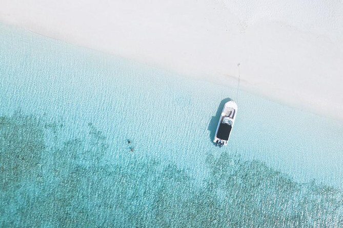 Full day 7hours- beach bbq, snorkel, Iguana island, half moon bay pine cay, Fun! - The Value Proposition: Is It Worth It?