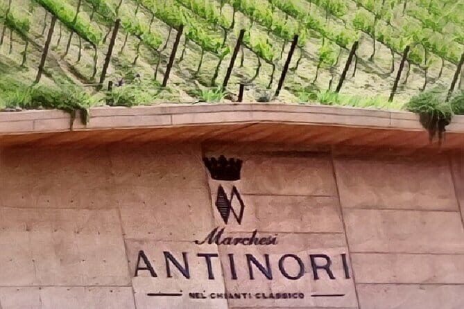 Full day 9h Private Tours 3 Top Wineries, Florence Limo Service - Key Points