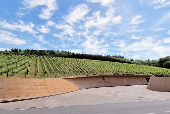 Full day 9h Private Tours 3 Top Wineries, Florence Limo Service - Key Points