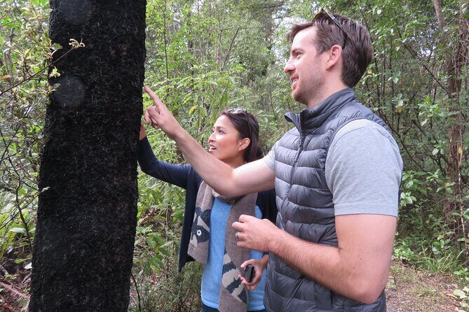 Full-Day Abel Tasman National Park Hiking Tour with Cruise - An In-Depth Look at the Experience