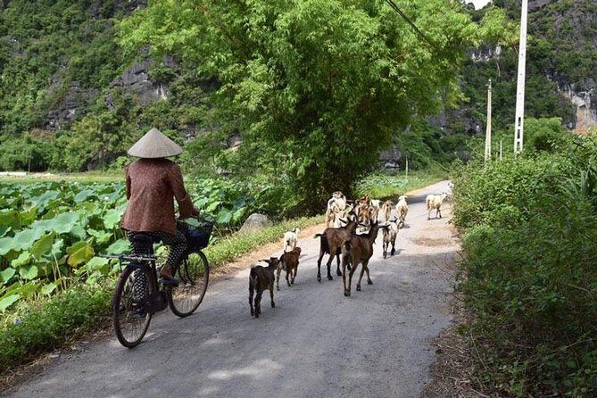 Full-day admire Bai Dinh - Trang An, EPIC landscape of Vietnam | ALL-INCLUDED - FAQ