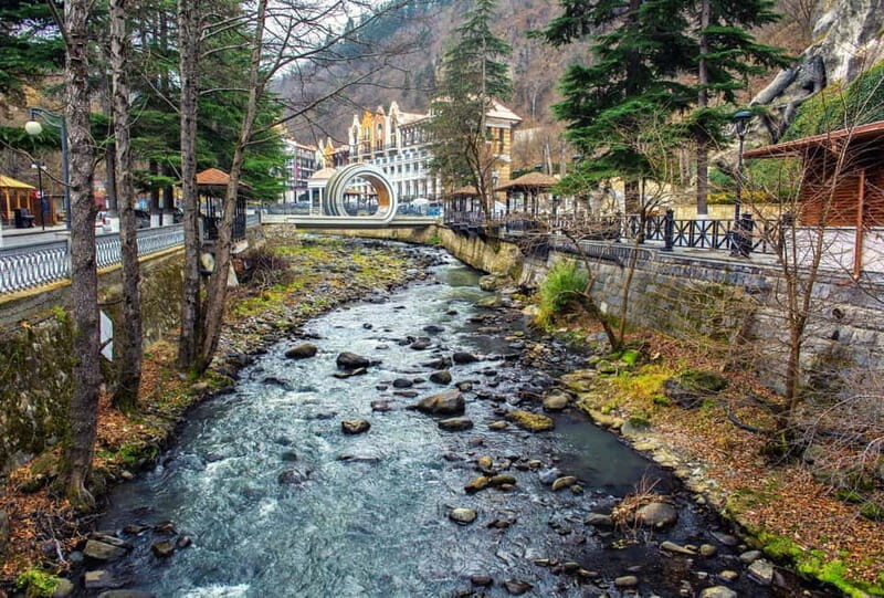 Full Day Adventure in Borjomi! - Transport and Logistics