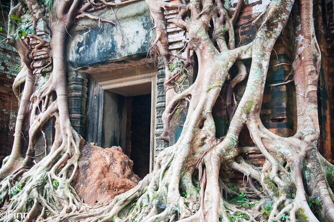 Full Day Adventure to Remote temples, Koh Ker and Beng Mealea - Who Will Love This Tour?