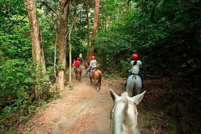 Full Day Adventure Tour - End of the Day: Return and Reflection