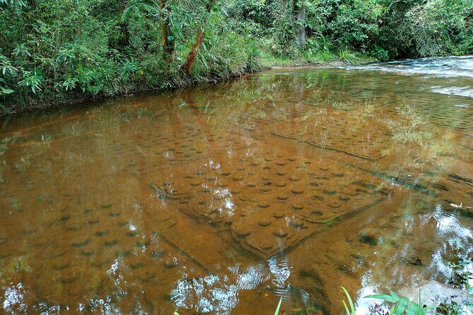 Full Day Adventure Tour Phnom Kulen, Beng Mealea & Kampong Phluk - The Sum Up: Who is This Tour For?