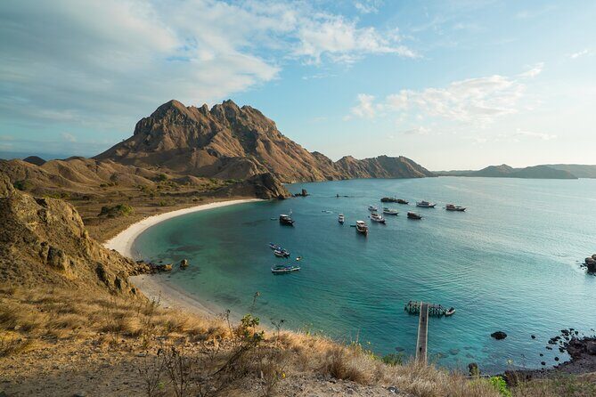 Full-Day Adventure Tour to komodo Island with join Speed Boat tur - Final Thoughts: Who Will Love This Tour?
