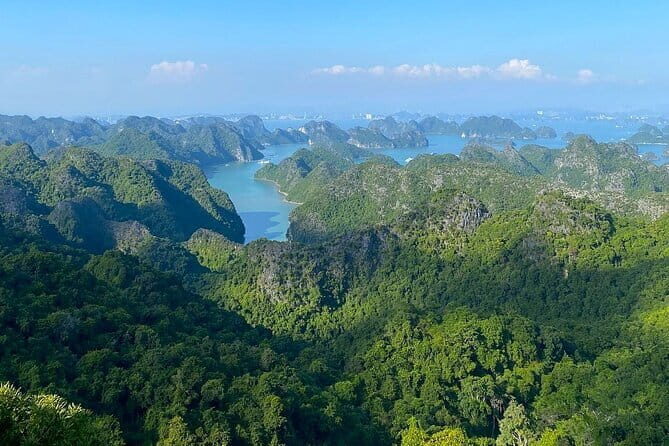 Full-Day Adventure: Trekking and Hiking in Cat Ba National Park - The Value of This Tour