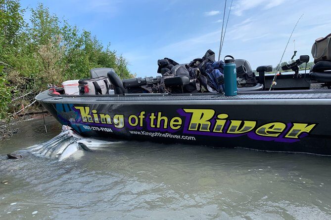Full day Alaska Salmon Fishing on the Kenai Peninsula - Who Is This Tour Best For?