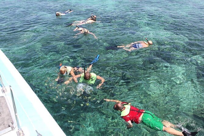 Full Day All Inclusive Sail & Snorkel with Turtles in Rose Island - FAQ