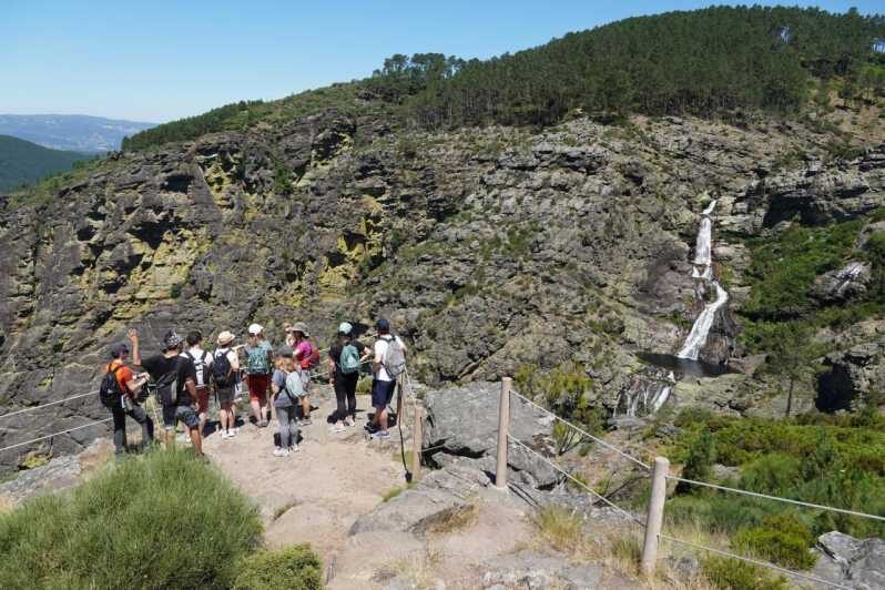 FULL DAY - ALVAO PARK - FISGAS ERMELO WATERFALLS W/ TRANSFER - Wildlife and Landscape