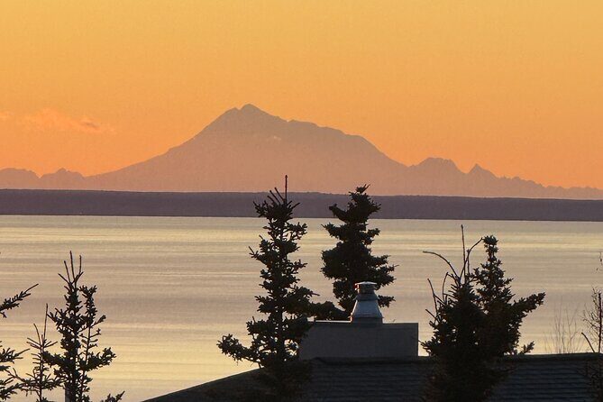 Full Day Anchorage Tour with Alaskan Guide - What the Tour Covers