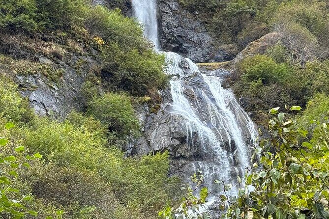 Full Day Anchorage Tour with Alaskan Guide - Transportation & Logistics