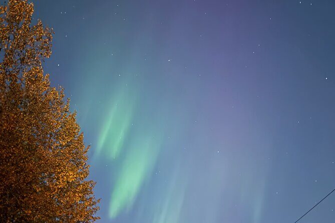 Full Day Anchorage Tour with Alaskan Guide - The Sum Up